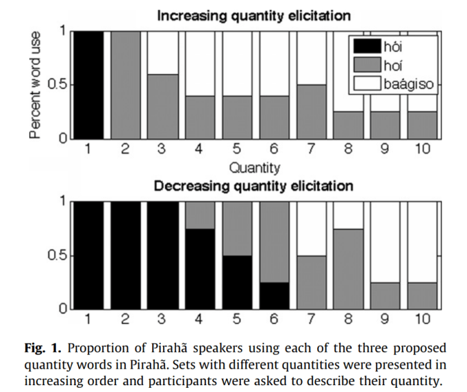 Perhaps the most controversial language — Pirahã | The Language Closet