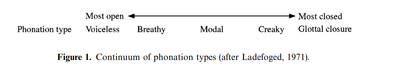 How do we talk? — Phonation | The Language Closet